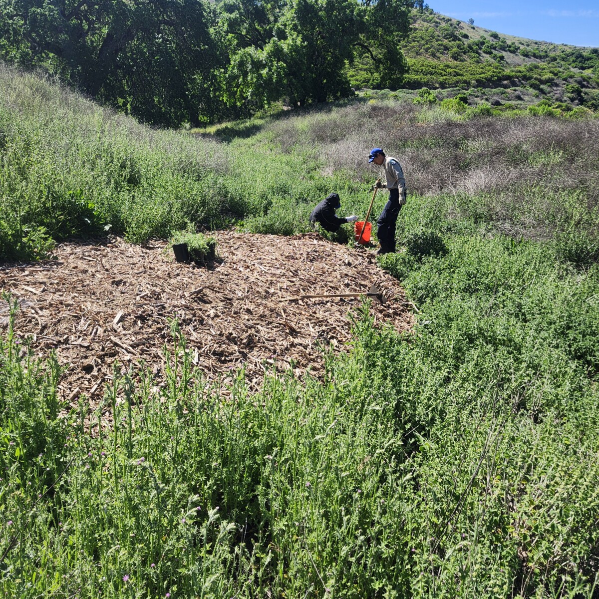 Land Restoration | WCC